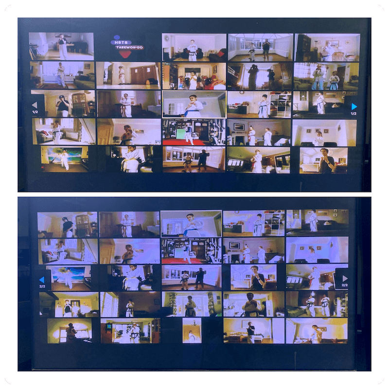 Online Half Day Training 6th March 2021 - HSTS Taekwon-Do