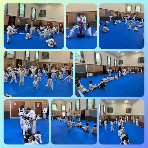 Little Dragons Half Day Training Little Dragons News - HSTS Taekwon-Do