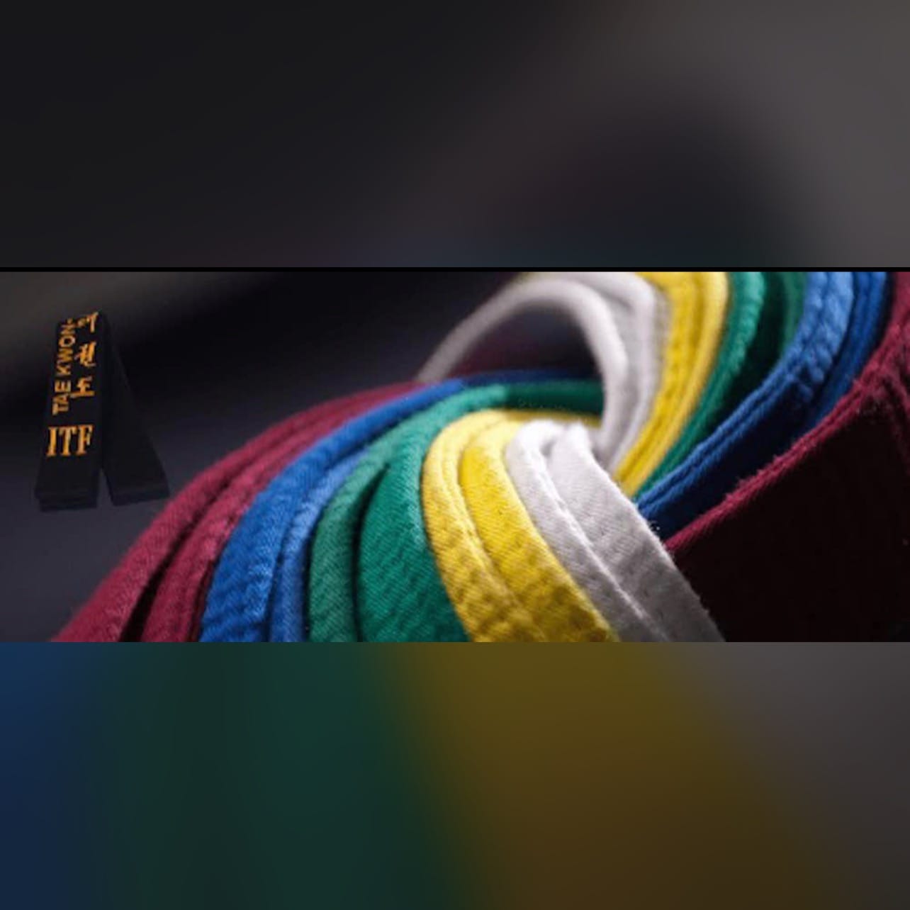 Colour Belt Grading Day! Main Club News - HSTS Taekwon-Do
